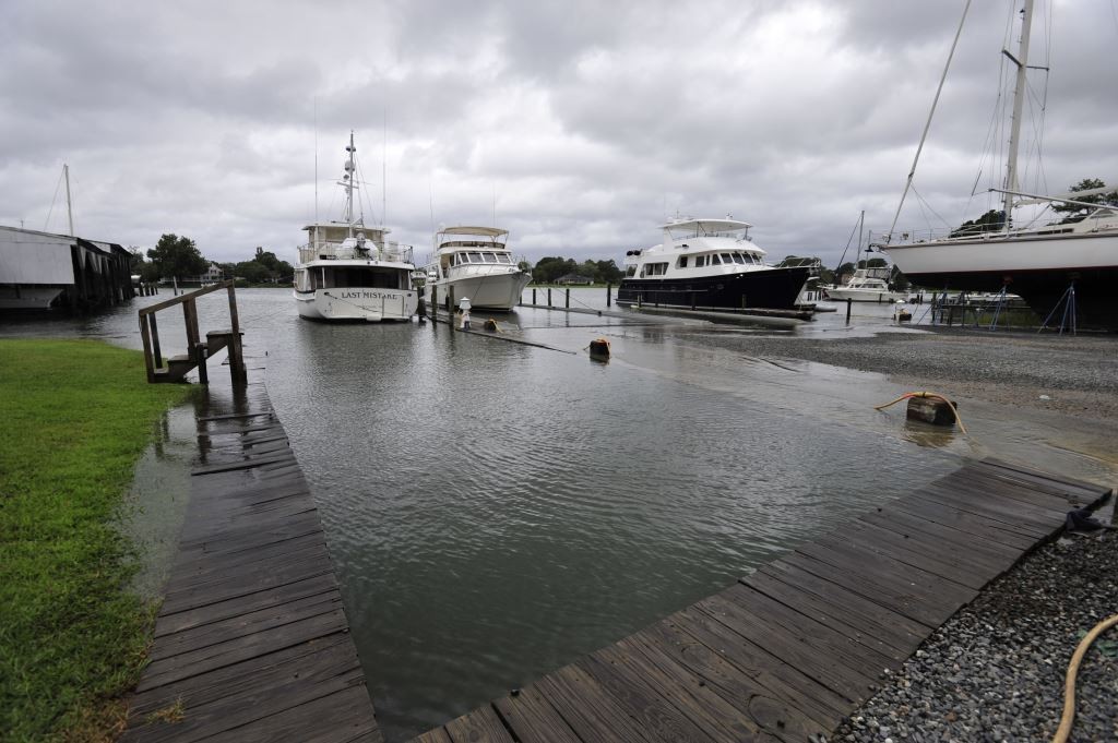 Neutral to Ground Demystified | Steve D'Antonio Marine Consulting